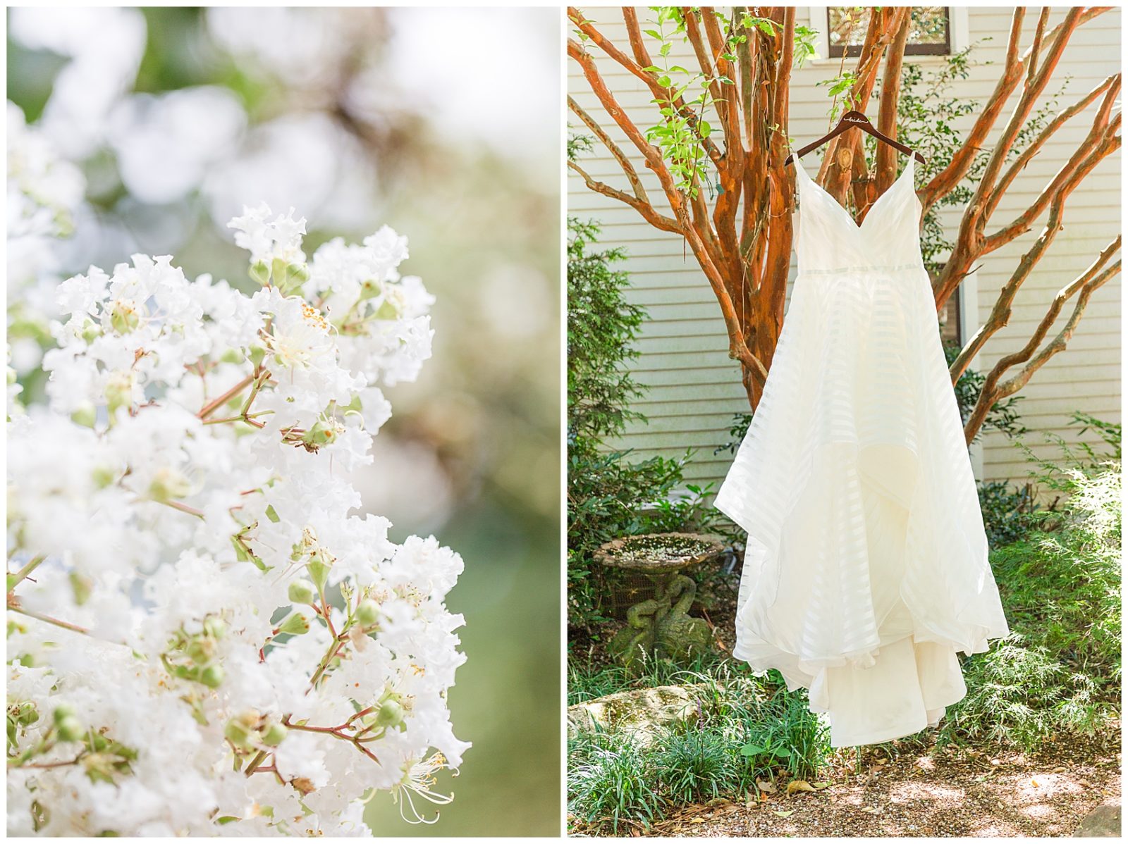 Greenville Wedding Photographer | Haven & Harper